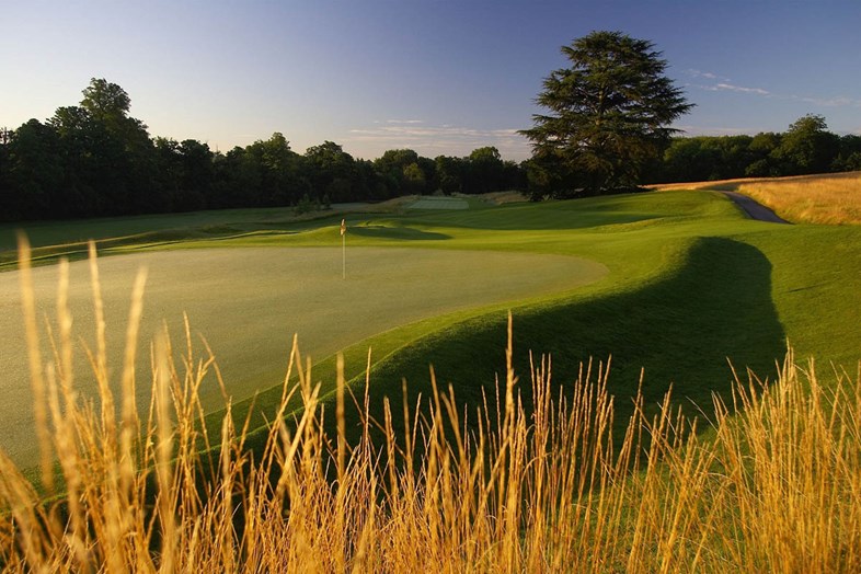 Elevating The Grove Golf Experience