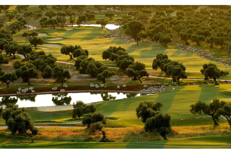 Winter Fantasy Golf League