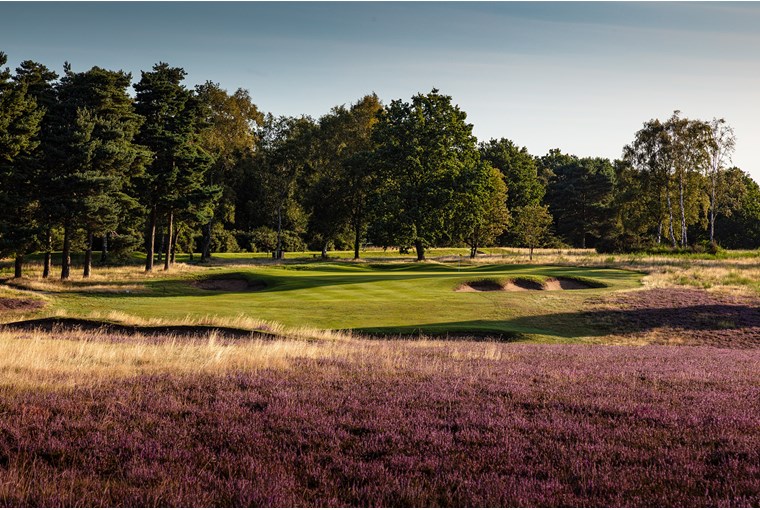 Bask in the stunning beauty of heathland golf at Sherwood Forest Golf Club