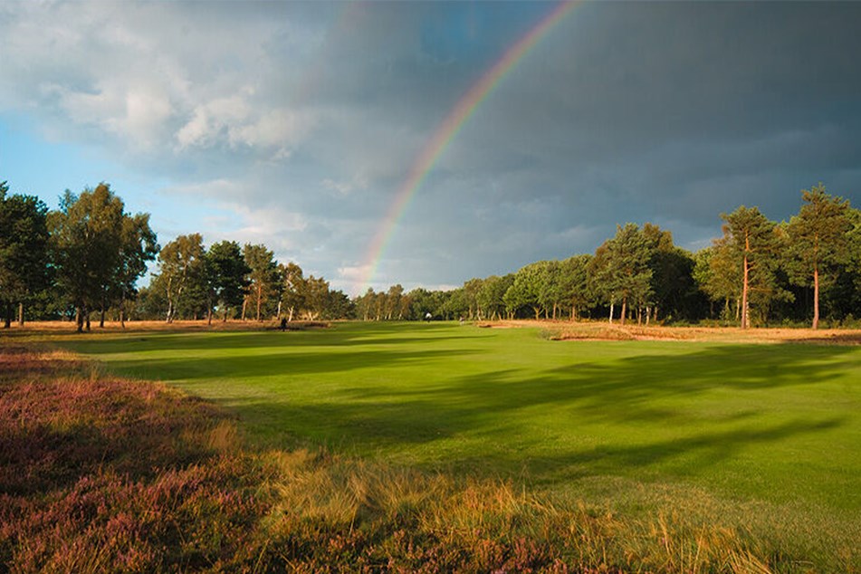 Bask in the stunning beauty of heathland golf at Sherwood Forest Golf Club