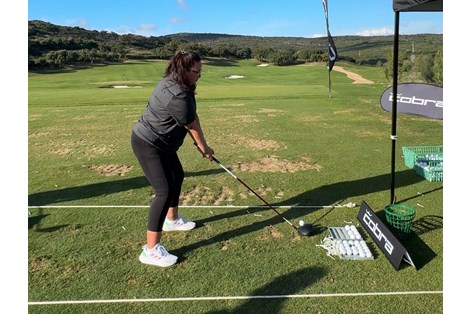 We review the new Cobra DS-ADAPT X Driver