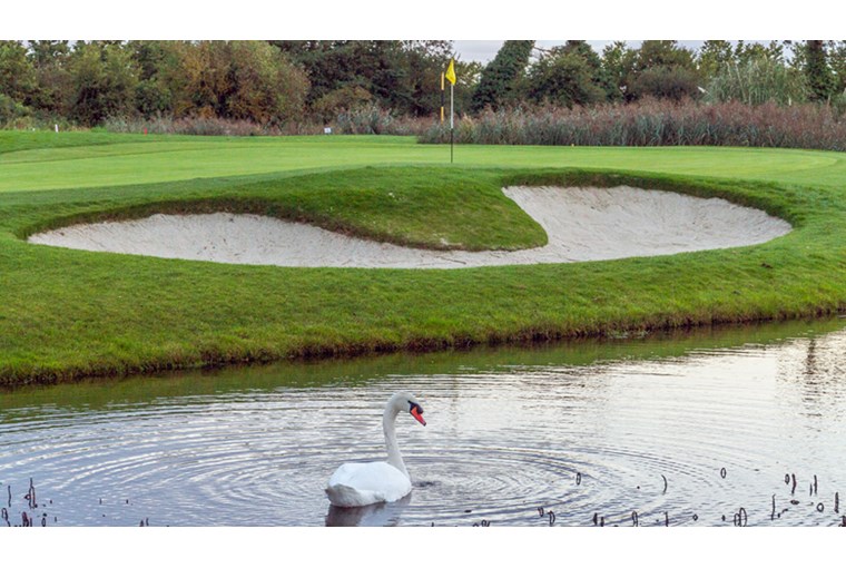 Malahide Golf Club – Blue/Red | Golf Course in Malahide | Golf Course ...