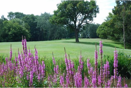 The Warren Golf Club | Golf Course in MALDON | Golf Course Reviews ...