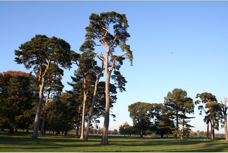Belton Park Golf Club – Belmont Course | Golf Course in GRANTHAM | Golf ...