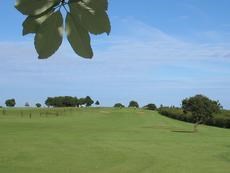 Boldon Golf Club | Golf Course in EAST BOLDON | Golf Course Reviews ...