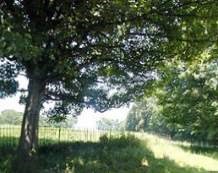 Roundhay Golf Course | Golf Course in LEEDS | Golf Course Reviews & Ratings