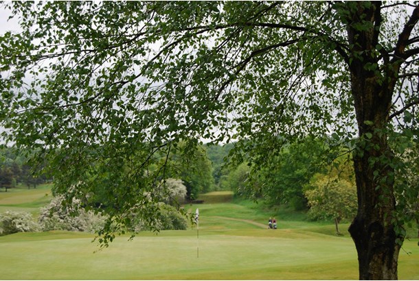 Alloa (Schawpark) Golf Club | Golf Course in ALLOA | Golf Course ...