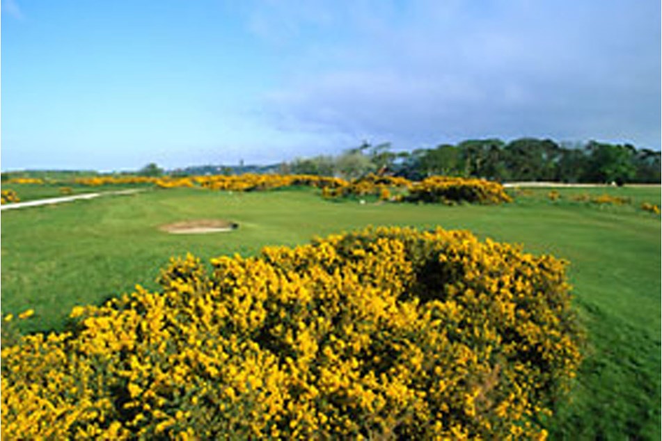St Andrews, Eden | Golf Course in ST. ANDREWS | Golf Course Reviews ...