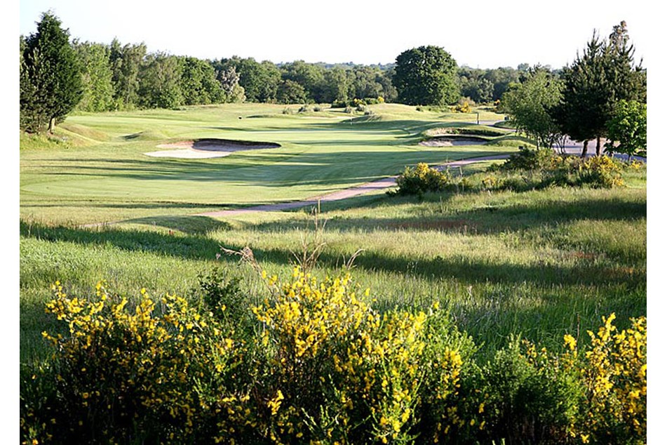 Sand Martins Golf Club | Golf Course in WOKINGHAM | Golf Course Reviews ...