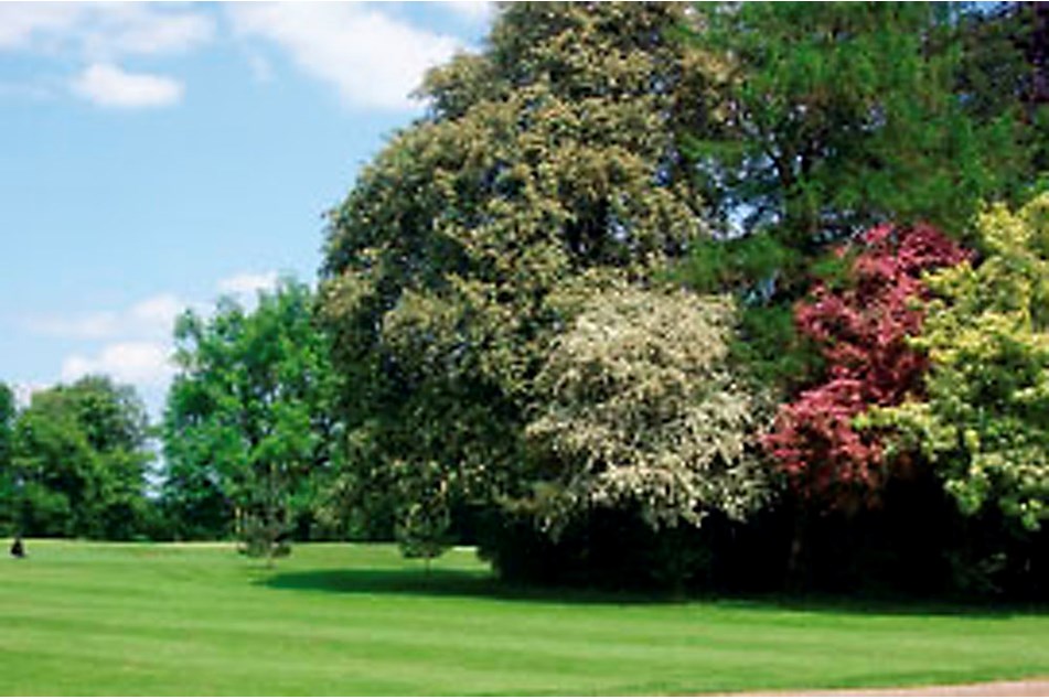 Oakland Park Golf Club | Golf Course in CHALFONT ST. GILES | Golf ...