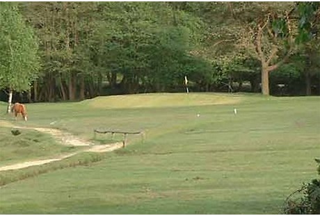 New Forest Golf Club | Golf Course in LYNDHURST | Golf Course Reviews ...