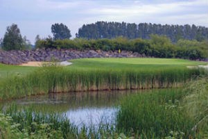 Chichester Golf Club – Cathedral Course | Golf Course in CHICHESTER ...