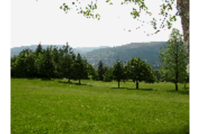 Aberdare Golf Club | Golf Course in ABERDARE | Golf Course Reviews ...