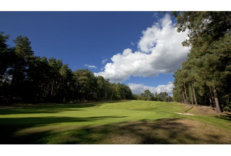 Pine Ridge | Golf Course in Camberley | Golf Course Reviews & Ratings ...